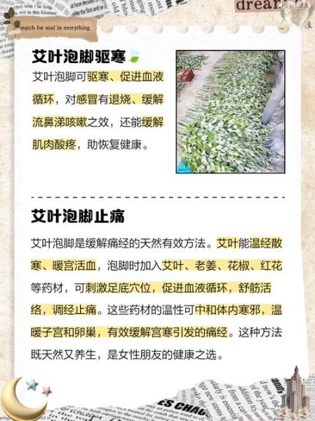 艾叶水泡脚的功效与作用_禁忌有哪些-第1张图片-山城妙识 艾叶水泡脚的功效与作用_禁忌有哪些-第1张图片-山城妙识