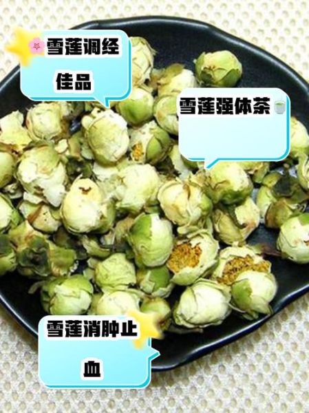 干雪莲花有什么功效_干雪莲花怎么吃效果最好-第1张图片-山城妙识