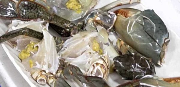 活的大闸蟹怎么杀_大闸蟹宰杀步骤-第3张图片-山城妙识 活的大闸蟹怎么杀_大闸蟹宰杀步骤-第3张图片-山城妙识