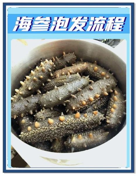 海参怎么泡发_海参怎么吃最好-第3张图片-山城妙识 海参怎么泡发_海参怎么吃最好-第3张图片-山城妙识