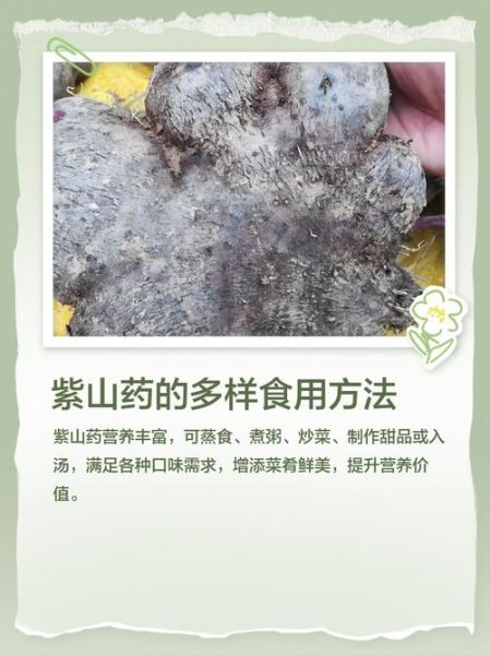 紫山药的禁忌有哪些_什么人不能吃紫山药-第3张图片-山城妙识