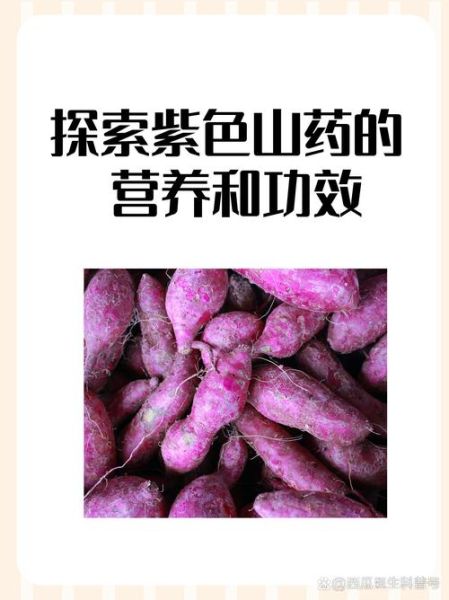 紫山药的禁忌有哪些_什么人不能吃紫山药-第2张图片-山城妙识