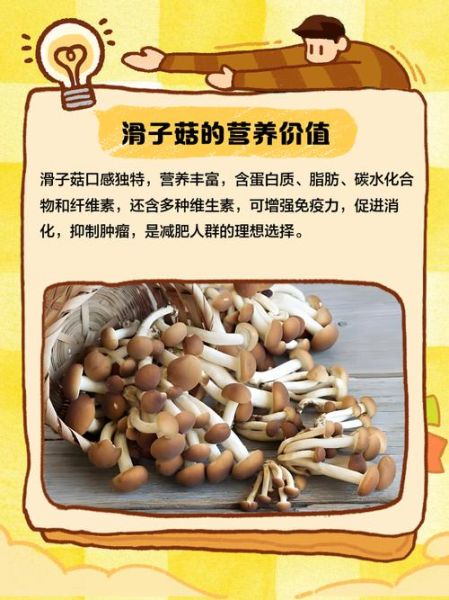 滑子菇不能和什么一起吃_滑子菇相克食物有哪些-第2张图片-山城妙识
