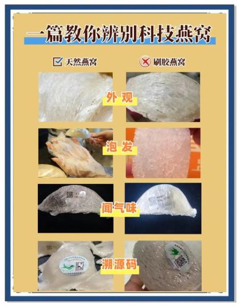人工燕窝是怎么形成的_人工燕窝与天然燕窝区别-第1张图片-山城妙识