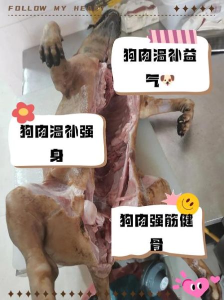 吃狗肉忌什么食物_狗肉不能和什么一起吃-第3张图片-山城妙识