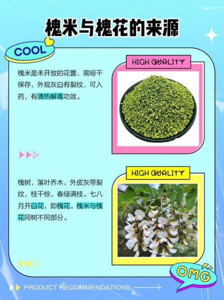 槐米是国槐还是洋槐_国槐与洋槐的区别-第2张图片-山城妙识 槐米是国槐还是洋槐_国槐与洋槐的区别-第2张图片-山城妙识