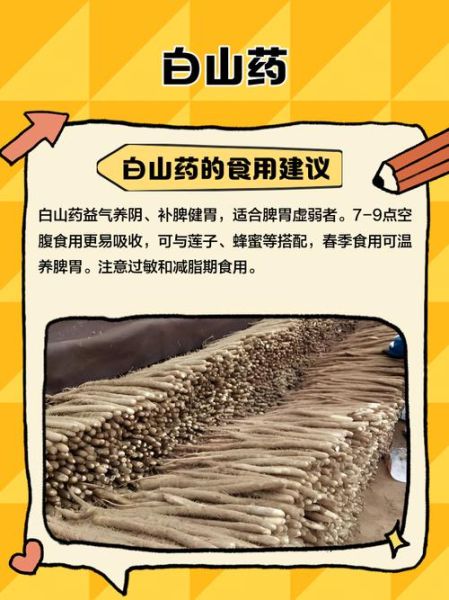 白山药怎么做好吃_白山药的做法大全-第2张图片-山城妙识