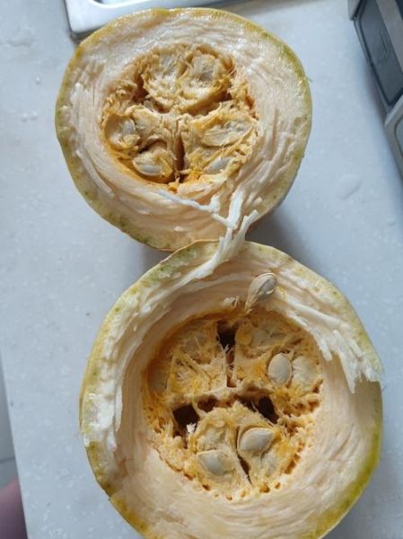 金丝瓜怎么做好吃_金丝瓜图片做法大全-第3张图片-山城妙识