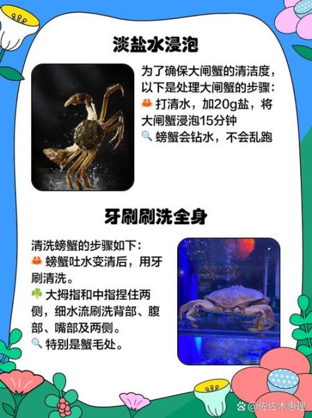 怎么洗螃蟹干净_螃蟹清洗步骤视频-第2张图片-山城妙识