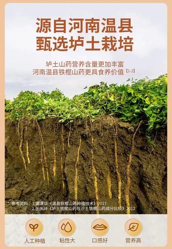 铁棍山药粉的功效与作用_铁棍山药粉适合什么人吃-第1张图片-山城妙识