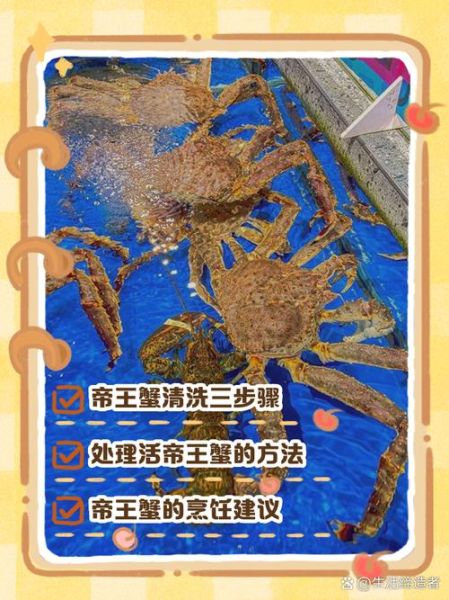 怎么洗螃蟹干净_螃蟹清洗步骤视频-第1张图片-山城妙识