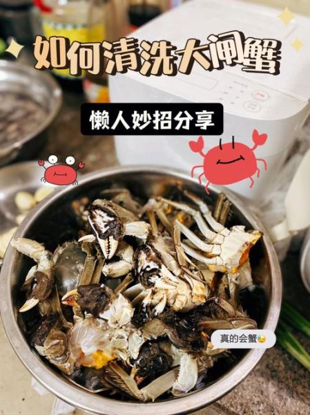 怎么洗螃蟹干净_螃蟹清洗步骤视频-第3张图片-山城妙识
