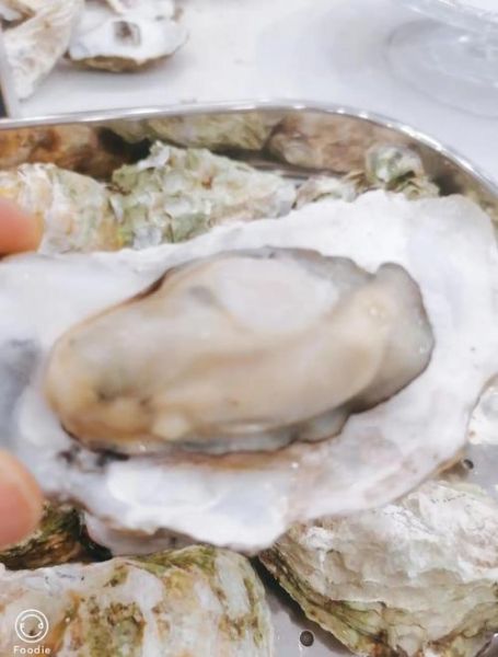 清水煮生蚝要煮多久_清水煮生蚝最简单的做法-第2张图片-山城妙识 清水煮生蚝要煮多久_清水煮生蚝最简单的做法-第2张图片-山城妙识