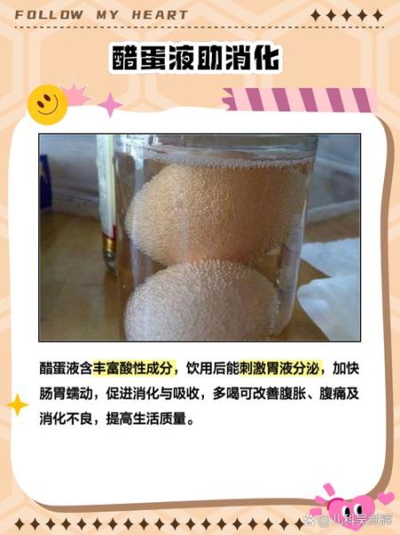 醋蛋液的制作方法_醋蛋液的功效与作用-第3张图片-山城妙识 醋蛋液的制作方法_醋蛋液的功效与作用-第3张图片-山城妙识