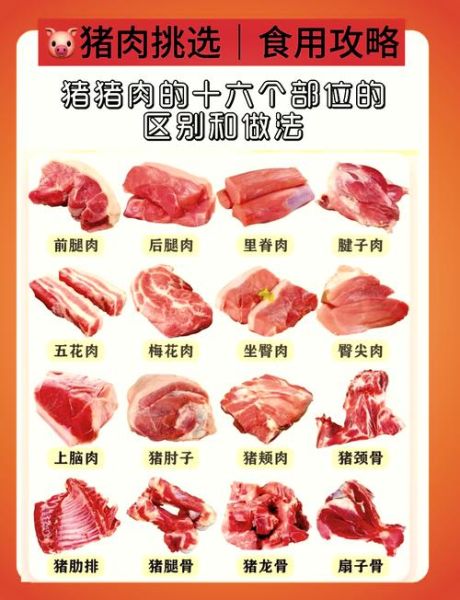 里脊肉是什么肉_里脊肉图片怎么选-第1张图片-山城妙识 里脊肉是什么肉_里脊肉图片怎么选-第1张图片-山城妙识