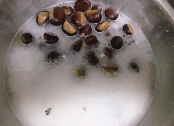 水煮栗子怎么煮好吃_水煮栗子要不要提前泡水-第2张图片-山城妙识