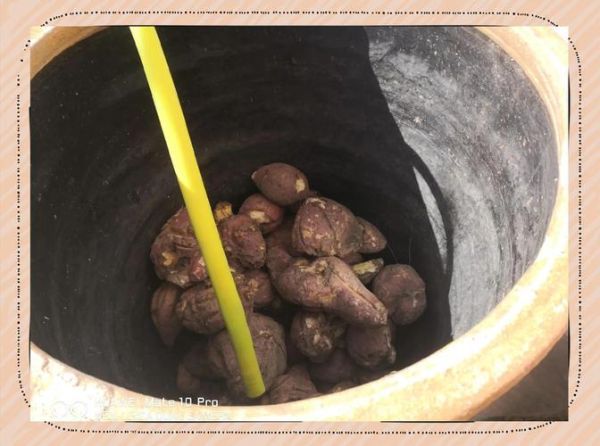 红薯怎么做成红薯粉_红薯粉制作方法-第1张图片-山城妙识 红薯怎么做成红薯粉_红薯粉制作方法-第1张图片-山城妙识