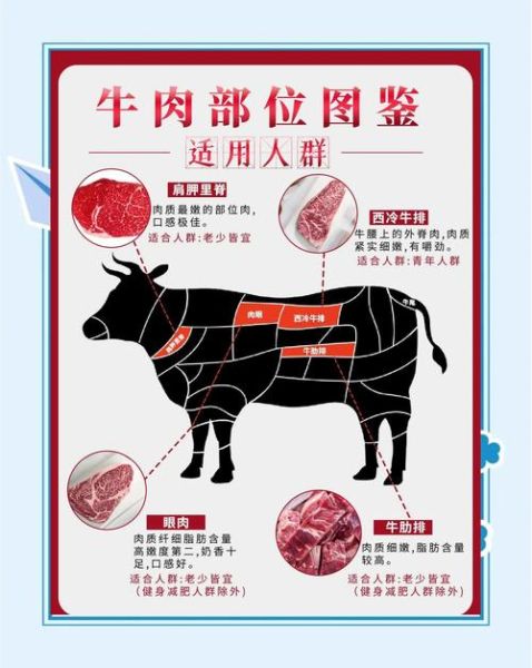 肥牛是什么肉做的_肥牛和牛肉的区别-第2张图片-山城妙识 肥牛是什么肉做的_肥牛和牛肉的区别-第2张图片-山城妙识