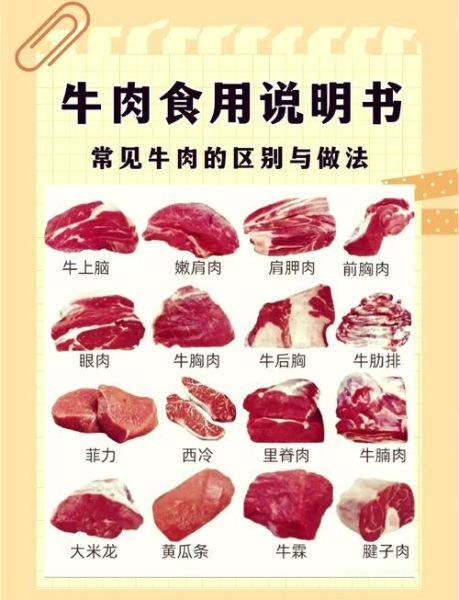 肥牛是什么肉做的_肥牛和牛肉的区别-第1张图片-山城妙识 肥牛是什么肉做的_肥牛和牛肉的区别-第1张图片-山城妙识