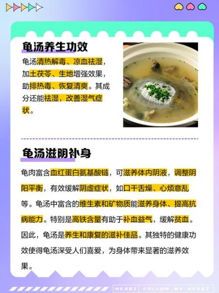乌龟汤的功效与作用_乌龟汤适合什么人喝-第2张图片-山城妙识