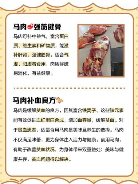 马肉和牛肉哪个营养价值高_马肉牛肉营养对比-第1张图片-山城妙识
