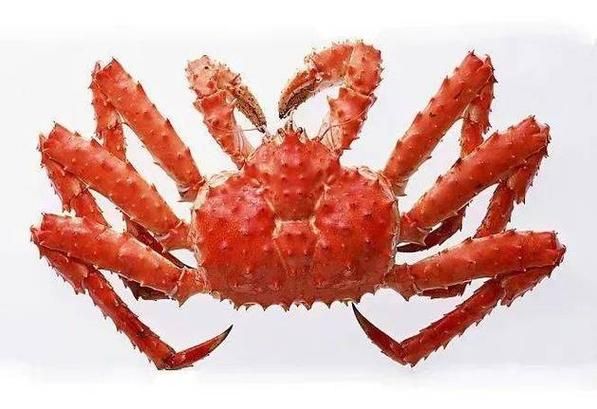 珍宝蟹怎么挑选_珍宝蟹和帝王蟹区别-第1张图片-山城妙识 珍宝蟹怎么挑选_珍宝蟹和帝王蟹区别-第1张图片-山城妙识