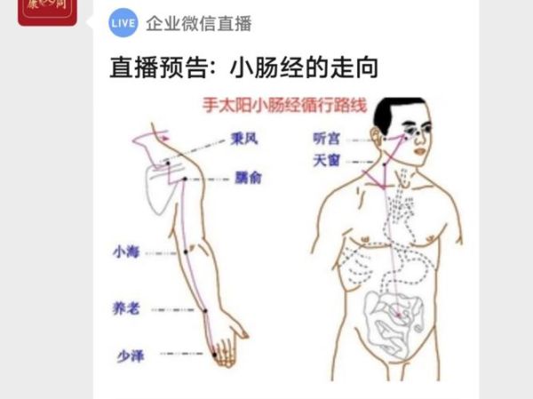 小肠经堵塞的症状_如何疏通小肠经-第3张图片-山城妙识
