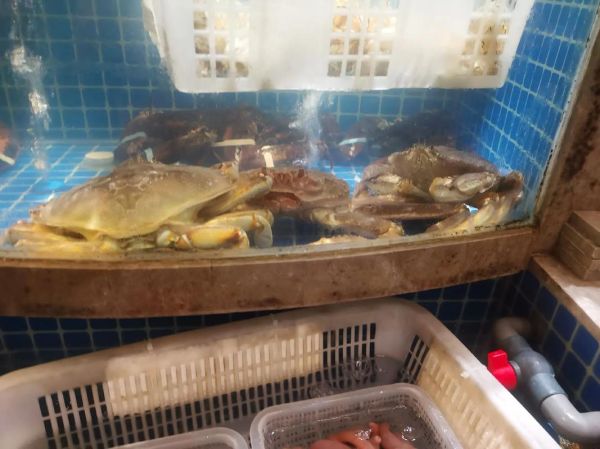 珍宝蟹怎么挑选_珍宝蟹和帝王蟹区别-第3张图片-山城妙识 珍宝蟹怎么挑选_珍宝蟹和帝王蟹区别-第3张图片-山城妙识