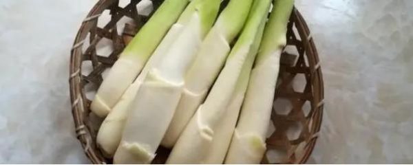 新鲜高笋怎么做好吃_高笋的做法大全-第3张图片-山城妙识