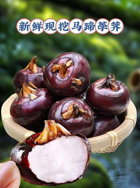 荸荠怎么去皮_荸荠的功效与作用-第2张图片-山城妙识