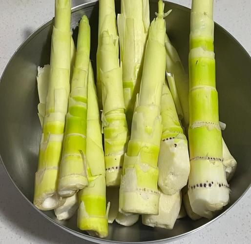 竹笋要焯水吗_新鲜竹笋怎么处理-第1张图片-山城妙识