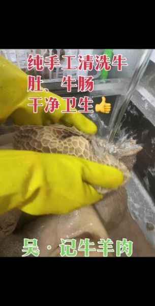 牛肚里面是屎吗_牛肚清洗方法-第2张图片-山城妙识 牛肚里面是屎吗_牛肚清洗方法-第2张图片-山城妙识