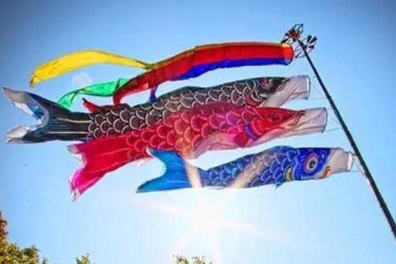 鲤鱼旗的含义_鲤鱼旗代表什么-第1张图片-山城妙识 鲤鱼旗的含义_鲤鱼旗代表什么-第1张图片-山城妙识