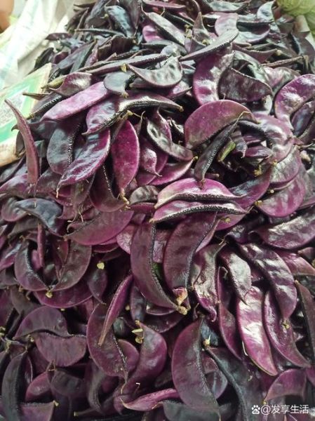 紫扁豆怎么做好吃_紫扁豆的做法大全-第1张图片-山城妙识