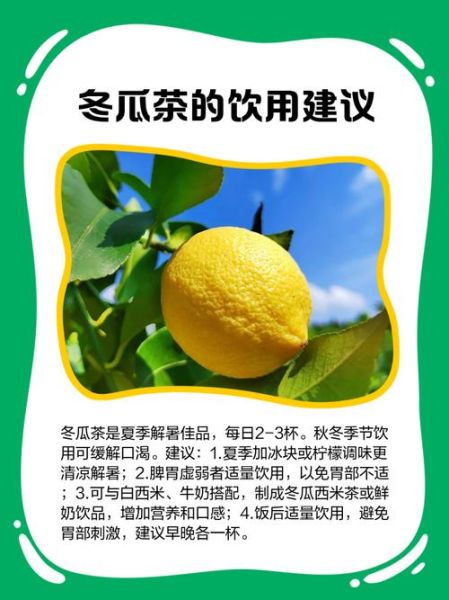 冬瓜茶怎么做_冬瓜茶的功效与禁忌-第1张图片-山城妙识