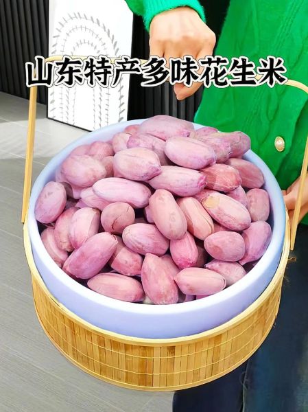 花生图片大全_花生品种图片怎么区分-第3张图片-山城妙识