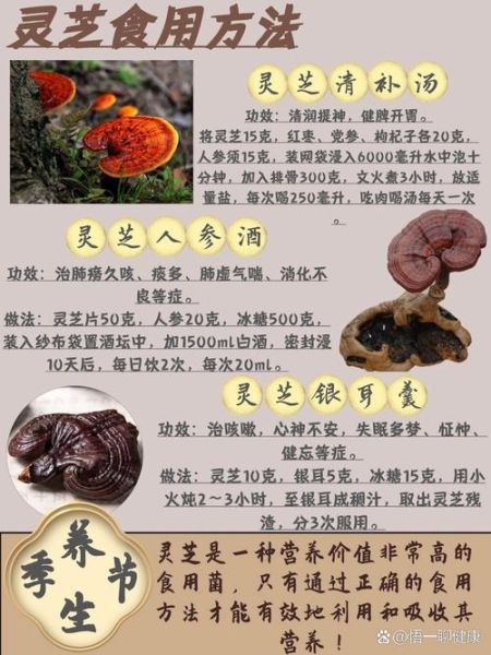 灵芝怎么吃最好_灵芝的正确食用方法-第3张图片-山城妙识 灵芝怎么吃最好_灵芝的正确食用方法-第3张图片-山城妙识
