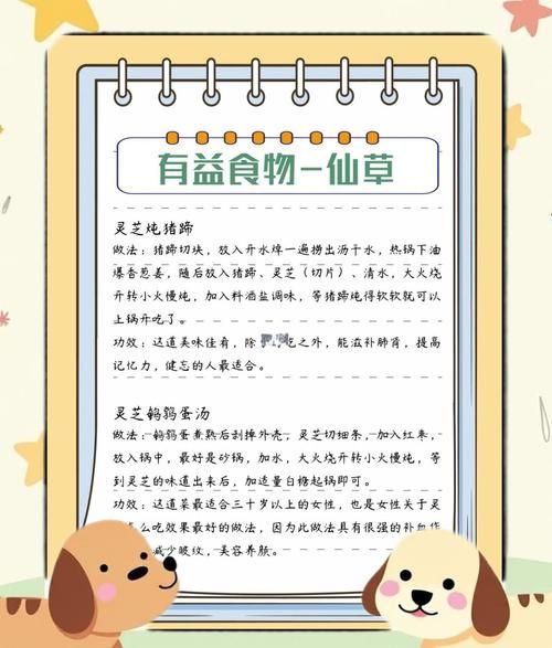 灵芝怎么吃最好_灵芝的正确食用方法-第1张图片-山城妙识 灵芝怎么吃最好_灵芝的正确食用方法-第1张图片-山城妙识