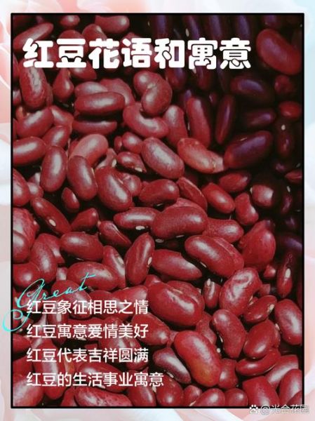 红豆生南国的寓意_红豆为什么代表相思-第1张图片-山城妙识
