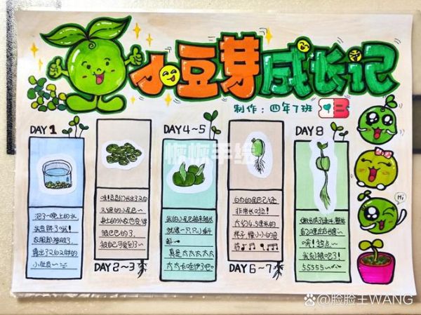 豆芽怎么种_豆芽生长过程简笔画-第2张图片-山城妙识 豆芽怎么种_豆芽生长过程简笔画-第2张图片-山城妙识