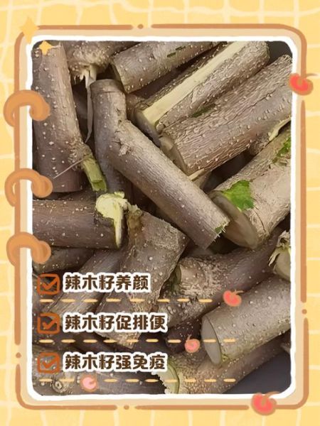 辣木籽的正确吃法与功效_辣木籽一天吃几粒最好-第1张图片-山城妙识