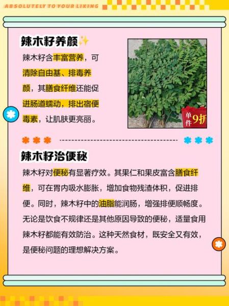 辣木籽的正确吃法与功效_辣木籽一天吃几粒最好-第2张图片-山城妙识