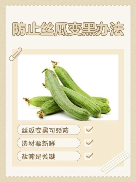 丝瓜怎么做不会变黑_丝瓜炒出来发黑怎么办-第1张图片-山城妙识