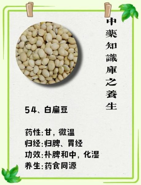 白扁豆粥禁忌人群_哪些人不能吃白扁豆粥-第1张图片-山城妙识