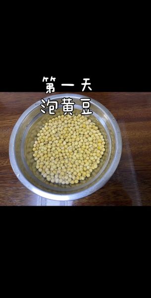 怎么发黄豆芽_黄豆芽最快发芽方法-第2张图片-山城妙识