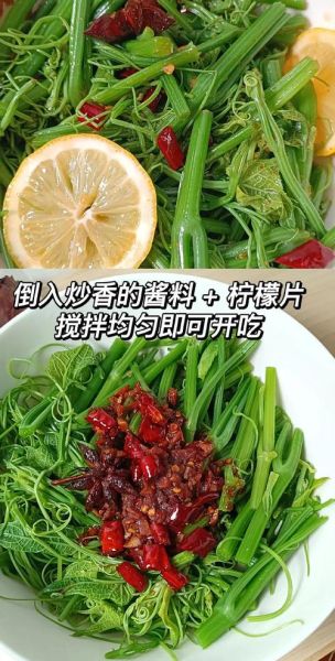 龙须菜怎么种_龙须菜种植图片教程-第1张图片-山城妙识 龙须菜怎么种_龙须菜种植图片教程-第1张图片-山城妙识