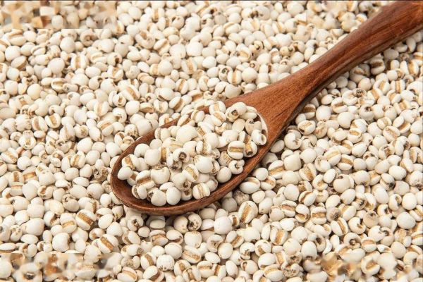 薏米图片大全_薏米长什么样-第2张图片-山城妙识 薏米图片大全_薏米长什么样-第2张图片-山城妙识