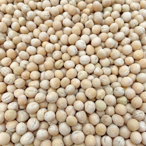 白豌豆怎么做好吃_白豌豆的家常做法大全-第2张图片-山城妙识