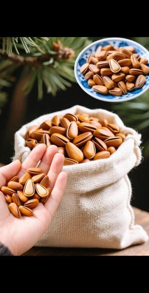 松子一天吃多少粒合适_松子吃多了会怎样-第1张图片-山城妙识