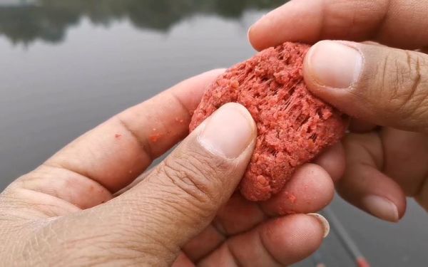 钓鱼为什么禁止用丁香_丁香钓鱼违法吗-第1张图片-山城妙识